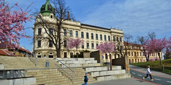 Město Vyškov | Jižní Morava