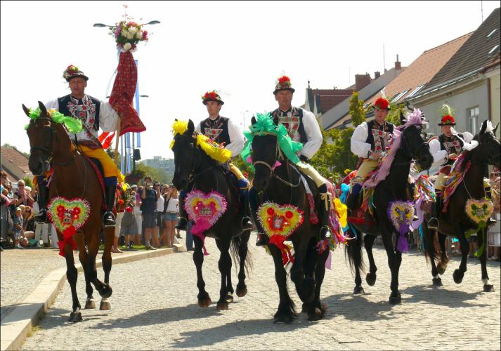 Jízda králů | Jižní Morava