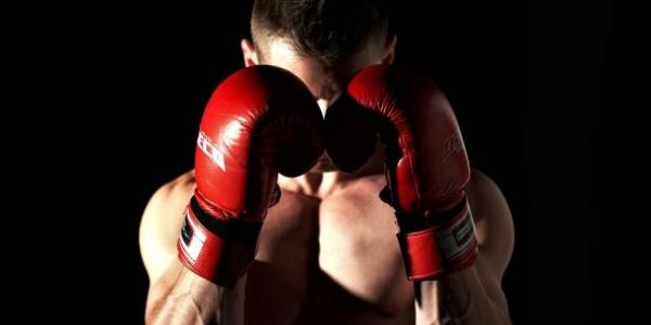 Národní liga boxu v Mikulově | Jižní Morava