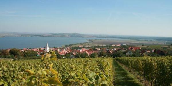 Léto otevřených sklepů v Pavlově | Jižní Morava