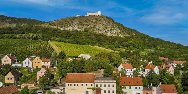Léto otevřených sklepů v Pavlově | Jižní Morava